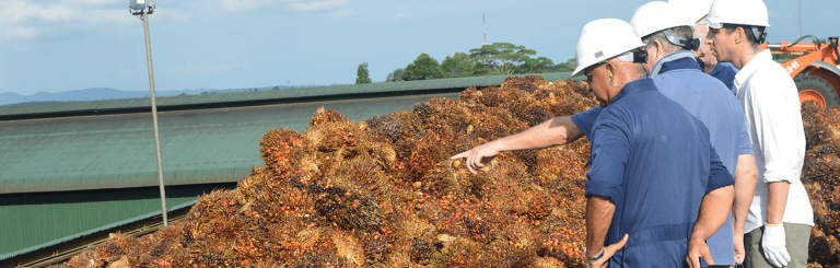 CPO price - M.P. Evans